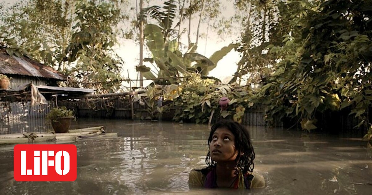 H Αφρίν στον Καιρό της Πλημμύρας (Μighty Aphrin in the Time of the Floods) | Προβολές | Σινεμά ...